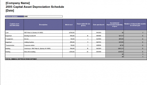 Depreciation Schedule Example & 11+ Free Template - Calypso Tree