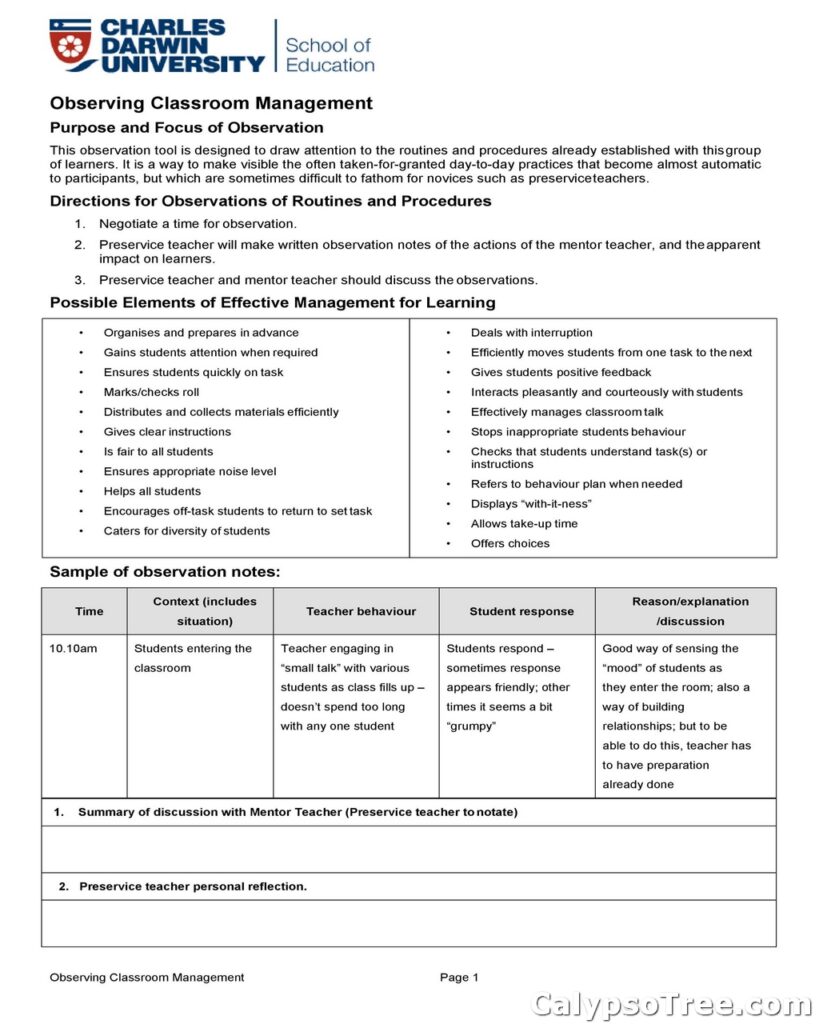 40+ Best Classroom Management Plan Template For Teaching And Learning ...