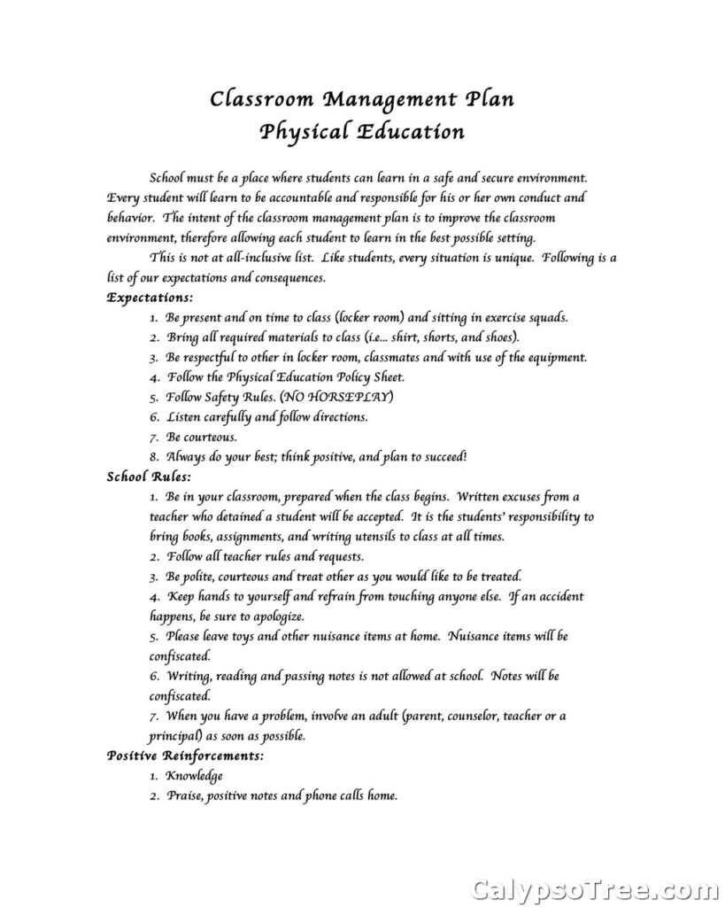 40+ Best Classroom Management Plan Template For Teaching And Learning ...
