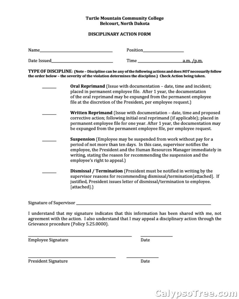 50 Simple Employee Write Up Form: Why You Use It And How To Write It ...