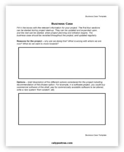 12 Best Business Case Template And How To Write - Calypso Tree