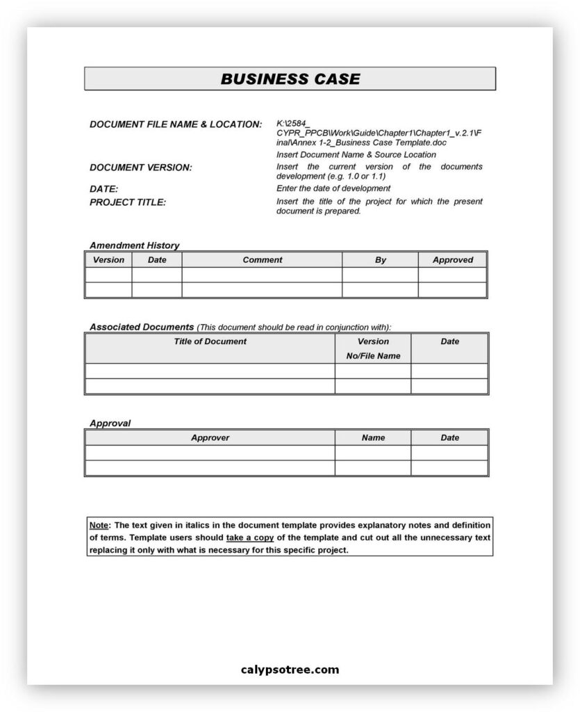 12 Best Business Case Template And How To Write - Calypso Tree