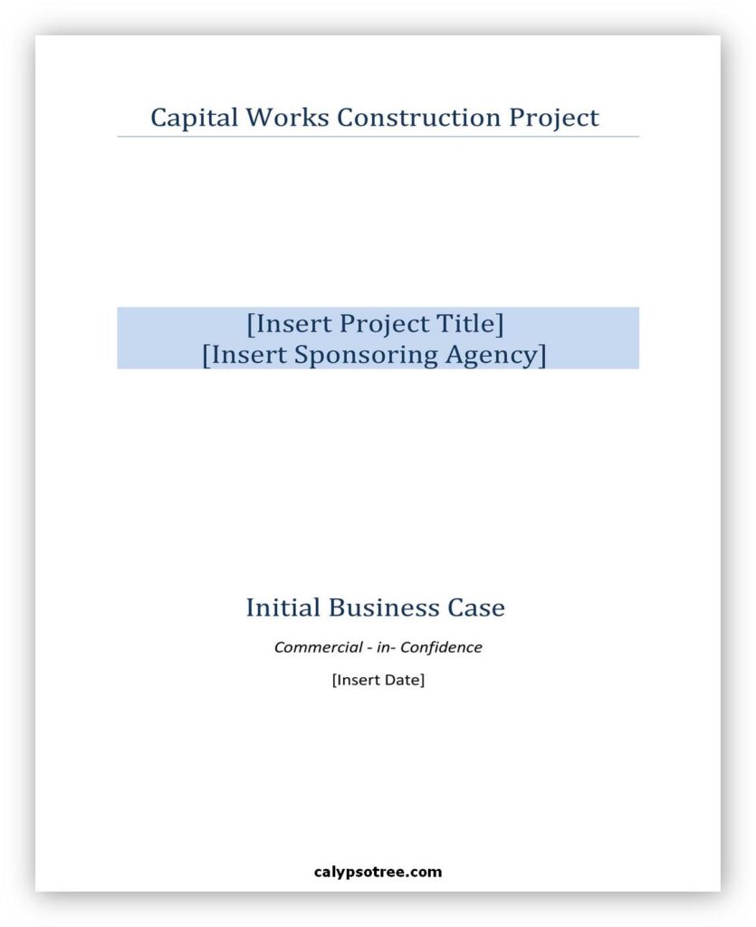 12 Best Business Case Template And How To Write - Calypso Tree