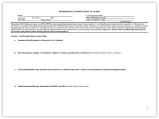50 Free Sample Performance Improvement Plan Template (Word, Excel And ...